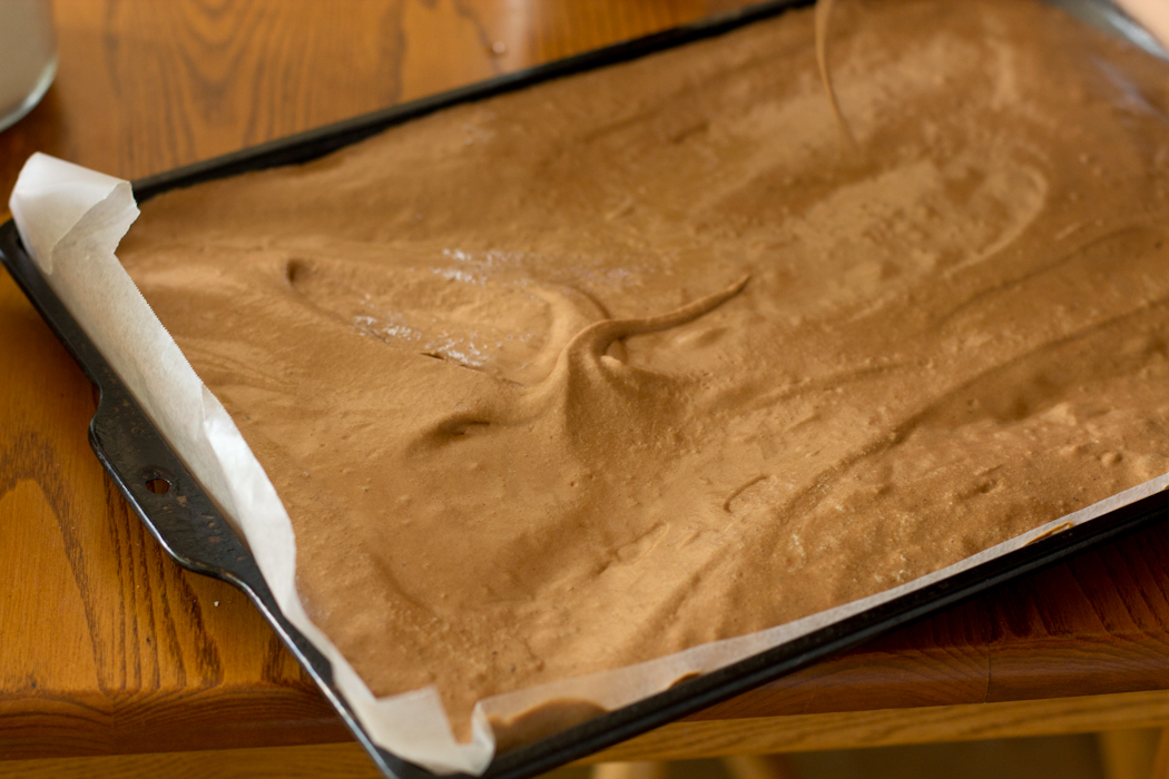 Ray * Giant Flourless Yodel - dramatic pancake