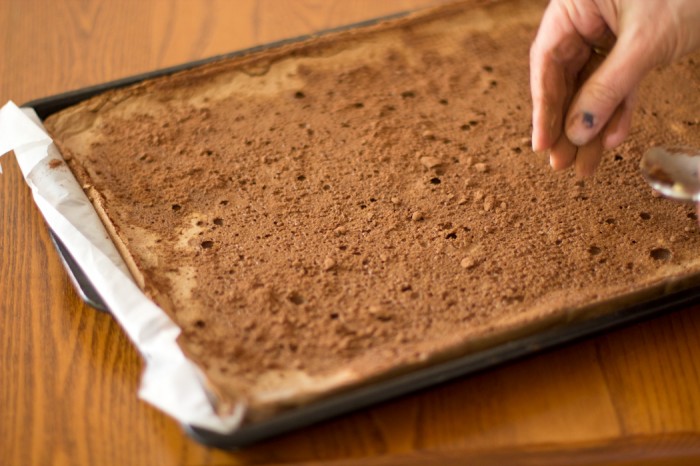 Giant Flourless Yodel | dramatic pancake