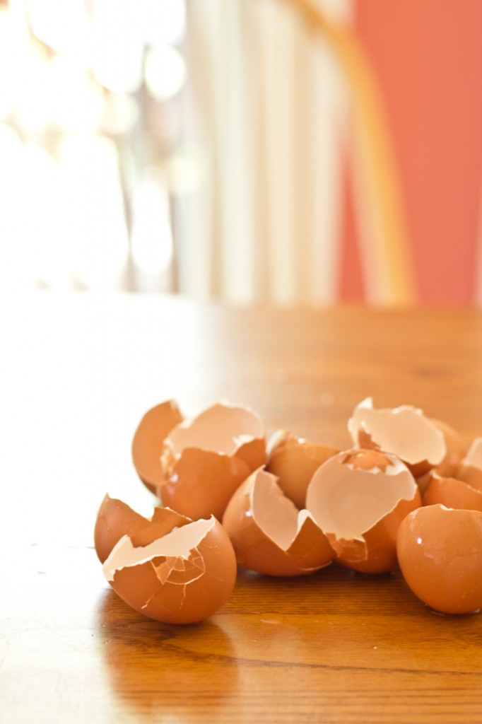 Giant Flourless Yodel | dramatic pancake